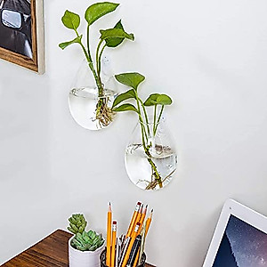Fashiostorm 5 Packs Wall Hanging Planters Glass Plant Pots Water Containers Flower Air Terrariums Terrarium, Clear