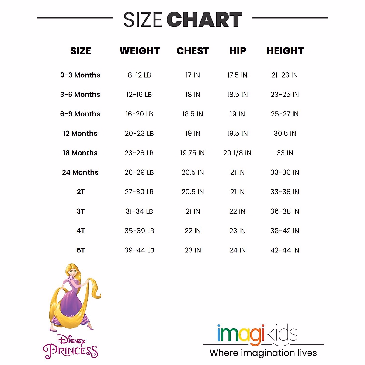 Disney Princess Rapunzel Jasmine Aurora Toddler Girls Fleece Sweatshirt and Pants Set Purple 5T