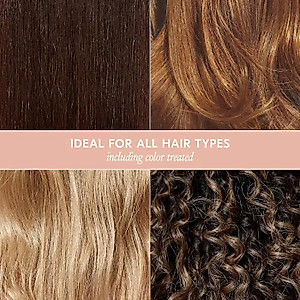 DAE Signature Conditioner - Hydrates & Protects Hair, Calms Frizzy Hair & Locks in Moisture (10 oz)