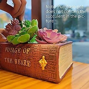 Aygrün Succulent Pots, Cute Resin Animal Flower Planters Decorations, 4 Inches, Creative Pot for Sempervivum with Drainage, Gift for Women, Man, Office and Garden Decor Book, 5.5″x4.0″x2.2″