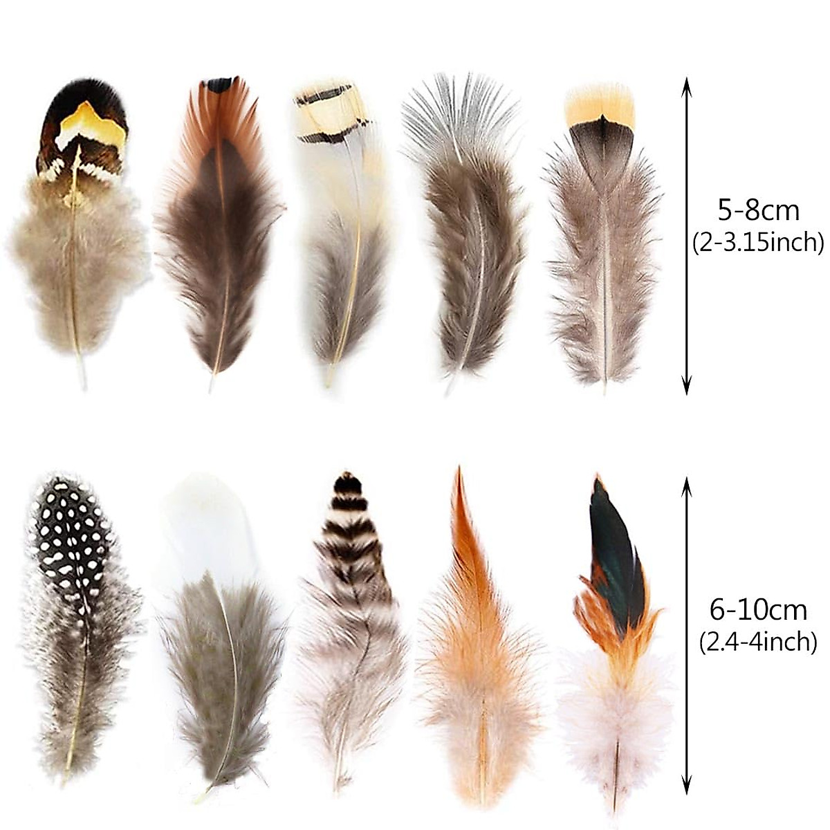 180pcs 6 Style Natural Feathers Assorted Mixed Feathers for Dream Catcher Crafts Decoration (6 Styles/180 Pcs)