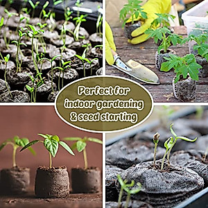 Legigo 500 Pcs 30mm Peat Pellets Starter Pods, Compressed Starting Plugs Pellet Fiber Soil Helps to Avoid Root Shock for Garden Planting Herb Flower Vegetables