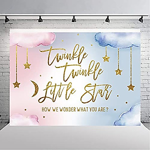 Lofaris Twinkle Twinkle Little Star Gender Reveal Backdrop Boy or Girl Pink or Blue How We Wonder What You are Golden Star Party Decoration Photography Background Cake Table Banner Wallpaper 7x5ft