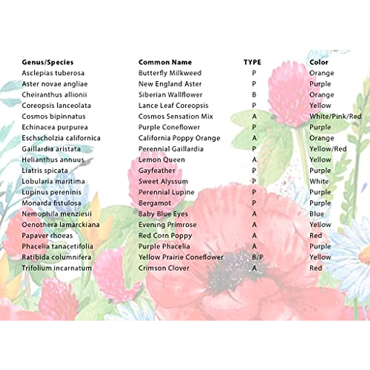 Bee and Butterfly Wildflower Seeds - Bulk Flower Seed Mix with Over 30,000 Premium Seeds- Stunning Blooms - Attracts Pollinators, Bees, Butterflies - Perennial, Annual