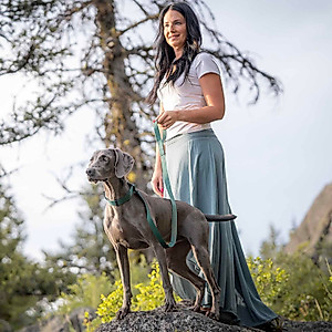 Blueberry Pet Essentials Matching Dog Collar Leash Harness Set in Verdant Green, Adjustable Classic Solid Color Nylon Collar with Harness & 5 ft Leash for Small Dogs