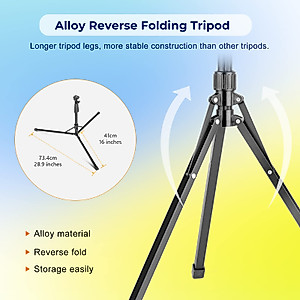 64” Phone&Tablet Tripod, Aureday Cell Phone Tripod for iPhone with Wireless Remote and Phone Holder Bundle with 14'' Selfie Ring Light with 62'' Tripod Stand and Phone Holder, Dimmable LED Phone Ringl