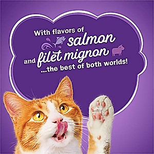 Purina Friskies Dry Cat Food, Surfin' & Turfin' Favorites - 16 lb. Bag