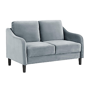 FANYE Elegant Gray 2 Accent Deep Cushions Seaters Wood Legs Loveseat Double Couch, Modern Velvet Upholstery Sofa Love Seat W/Curved Padded Armrest for Home Office Apartment Small Space Living Room