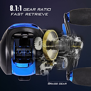 Sougayilang Baitcasting Fishing Reel with 9 + 1 Anti-Reverse Ball Bearings, 8.1:1 High-Speed Gear Ratio Casting Reel-Blue-Right