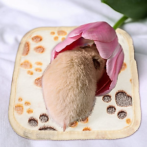 8 Pcs Small Animal Fleece Blanket Cage Liners Absorbent Guinea Pig Blanket Soft Guinea Pig Accessories Warm Pet Sleep Mat Paw Print Hamster Mat for Hamster Dog Rabbit Puppy Hedgehog (7.9 x 7.9 Inch)
