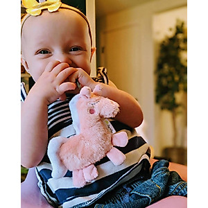 Itzy Ritzy Pacifier & Lovey Set - Includes Silicone Pacifier with Stuffed Animal Lovey - Detachable Plush Unicorn Pacifier Holder & Coordinating Pink Silicone Pacifier, Ideal for Ages 0 Months & Up