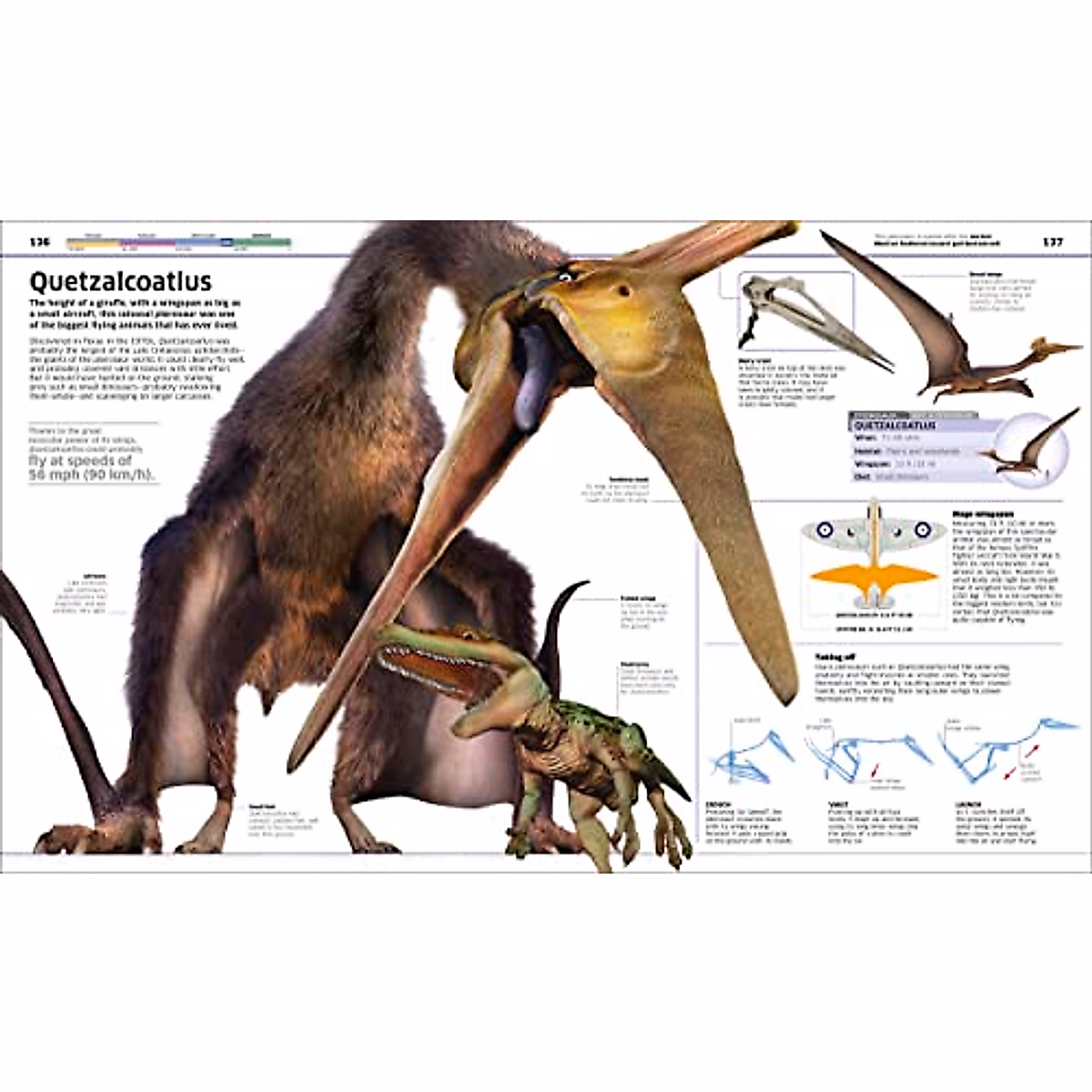 Knowledge Encyclopedia Dinosaur!: Over 60 Prehistoric Creatures as You've Never Seen Them Before (DK Knowledge Encyclopedias)