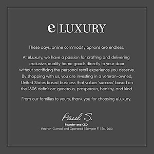 eLuxurySupply Accent Chair - Modern Industrial Slant Armchair with Layered Foam and Metal Frame - Premium High Density Soft Cushion for Supreme Comfort - Easy Assembly 2 Pack