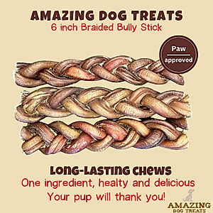Amazing Dog Treats 6" Braided Bully Stick (10 Pcs/Pack) - Bully Stick for Dogs - Made from Premium Grass Fed Argentinian Beef