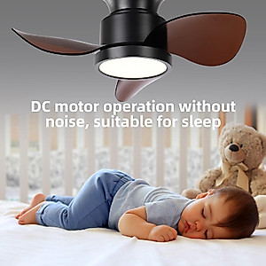 Roomratv Ceiling Fans with Lights 22 inch Quiet Ceiling Fan Large Airflow Remote Control 3 Color Temperature for Bedroom Kitchen Dining room Patio（Black）