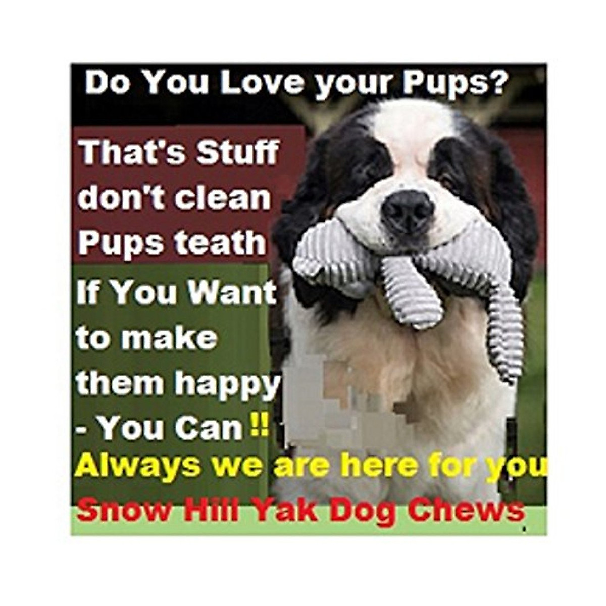 Snow Hill Natural Himalayan Yak Milk Dog Chews XL 5 Pieces Bulk Pack Long Lasting, Odor Stain Gluten GMO Free Protein-Rich Yaky Cheese Treats for Crazy Chewer improved Oral Health