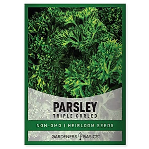 Curled Parsley Seeds for Planting Indoors and Outdoors Heirloom, Open-Pollinated, Non-GMO Curly Herb Variety- Great for Home Gardens and More by Gardeners Basics