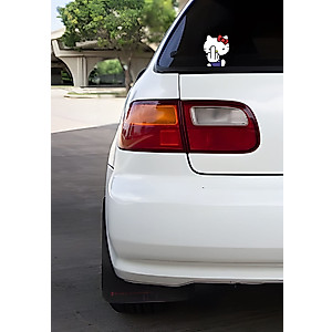 Kitty, Middle Finger,Vinyl Decal,Sticker for Cars,Windows,Laptops and More