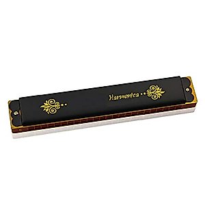 WAAZVXS Tremolo Harmonica 24 Holes Mouth Organ ABS Comb Brass Reeds Harp Musical Instruments Key C Professional (Color : Key of C)