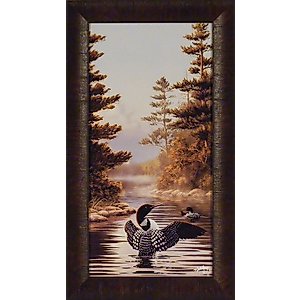 Flapping Wings by Rick Kelley 13x23 Loons Lake Birds Framed Art Print Wall Décor Picture