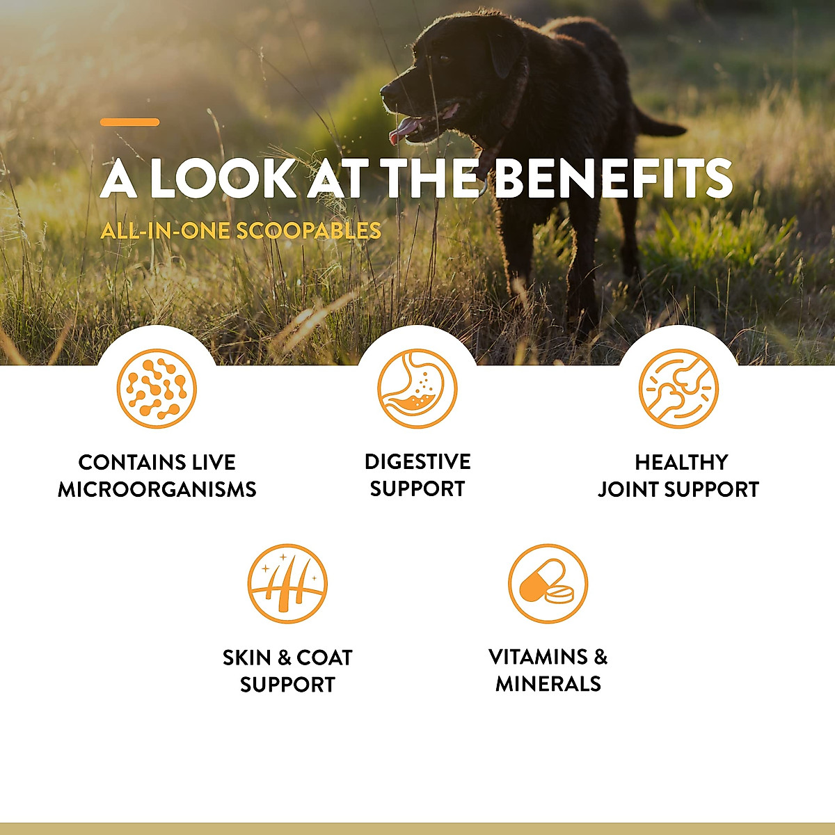 NaturVet Scoopables All-in-One Multivitamin for Dogs - Dog Vitamins and Supplements for Joint Support, Digestion, Skin & Coat Care & Immune - Hickory Smoked Bacon Flavor Vitamin Supplement | 11oz Bag