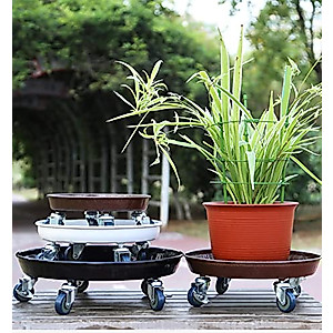 MYBAQ,Plant Dolly,Plant Caddy,Plant Roller Base,Plant Caddy with Wheels Heavy Duty,Plant Caddy with Wheels,Planter Mover, Round Plant Roller Base for Vertical Planting Troughs,Plant Pots,Trash Cans.
