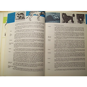 GUINNESS BOOK OF RECORDS 1969