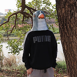 Pigeon Mask Latex Full Head Bird Mask for Halloween Costume Party Cosplay (Grey Blue)