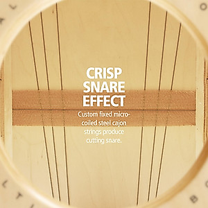 Meinl Percussion Woodcraft Professional Espresso Burst String Cajon (WC100EB)