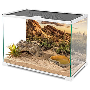 AWERT Reptile Habitat Background Blue Sky Oasis Cactus Sun and Desert Terrarium Background 30x12 inches Polyester Background