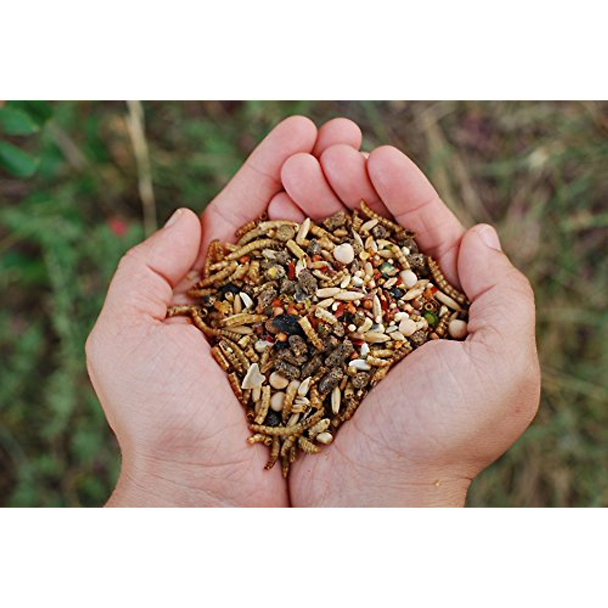 LITTLE FARMER PRODUCTS Chicken Fun-DOO Non-GMO, Soy-Free Chicken Treat | Premium Poultry Meal Worm, Vegetable & Herb Mix (3 lbs)