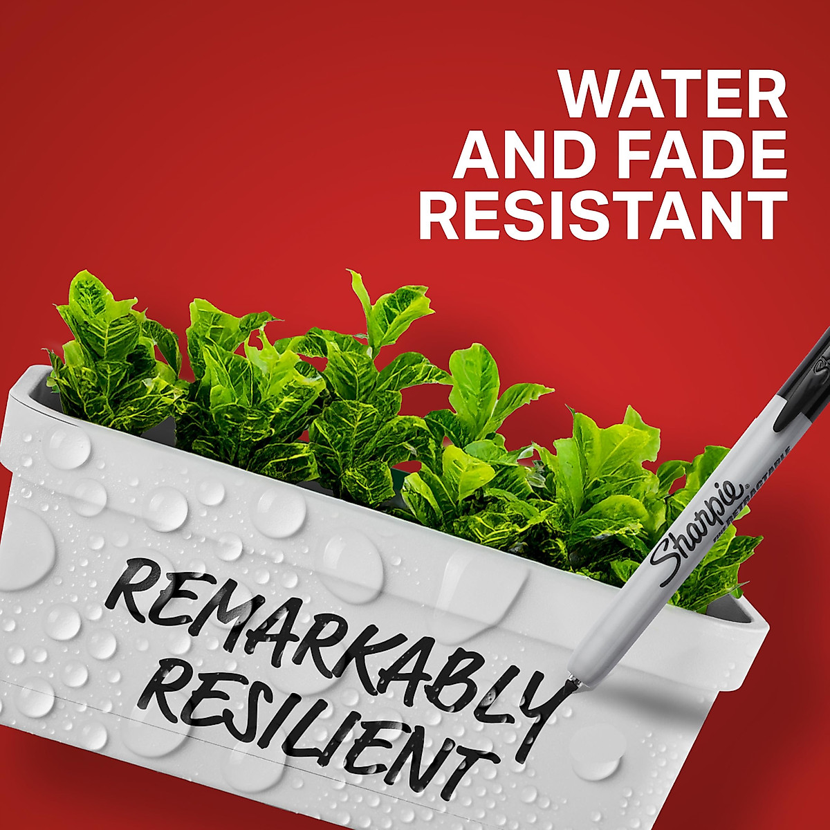 Sharpie Retractable Permanent Markers, Fine Point, Black, 12 Count