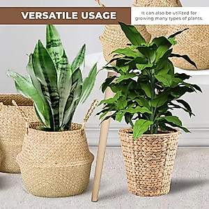 TREVIETDECOR Wicker Trash Can with Lid in Bedroom, Bathroom | Trash Can in Office | Boho Woven Wicker Waste Basket