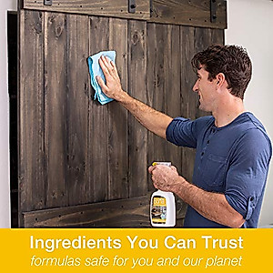 Bona PowerPlus Wood Surface Deep Cleaner Spray, Unscented, 22 Fl Oz