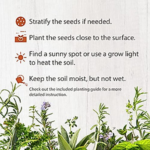 15 Heirloom Lettuce & Leafy Vegetable Seeds | 4000+ Seeds | Non GMO Seeds for Planting | Hydroponic Garden Seeds - Indoors or Outdoor