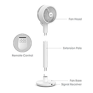 Pure Enrichment® 2-in-1 Circulating Floor & Desk Fan - 24 Fan Speeds, Vertical and Horizontal Oscillation, Optional Remote Control Operation, Auto-Off Timer and Sleep Mode - Ideal for the Whole House