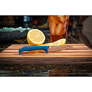 Spyderco Counter Puppy 6.9" Kitchen Knife with 3.46" Corrosion-Resistant 7Cr17 Stainless Steel Blade and Injection-Molded Blue Plastic Handle - Plainedge - K20PBL