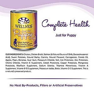 Wellness Complete Health Natural Wet Canned Puppy Food, Puppy Chicken & Salmon 12.5-Ounce Can (Pack of 12)