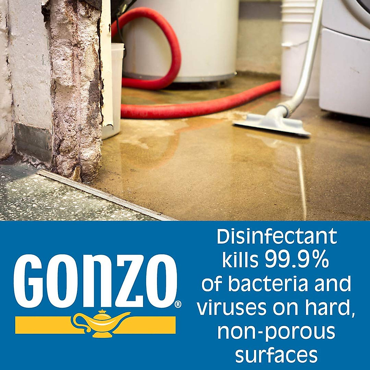 Gonzo Disinfectant Spray & Multipurpose Cleaner - 24 Ounce (2 Pack) Citrus - Odor Eliminator, Disinfectant, Flood Fire Water Damage Restoration