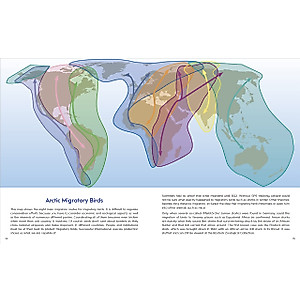 Random Maps: The World in Over 100 Unusual Maps