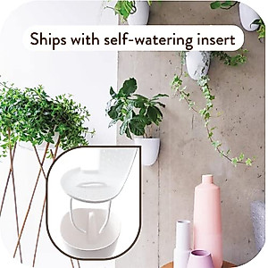 Make Good Virgo Self-Watering Wall Planters (Set of 6) - Easy to Water and Install - Lightweight - Design Your Own Vertical Garden - Wall Planters for Indoor Plants