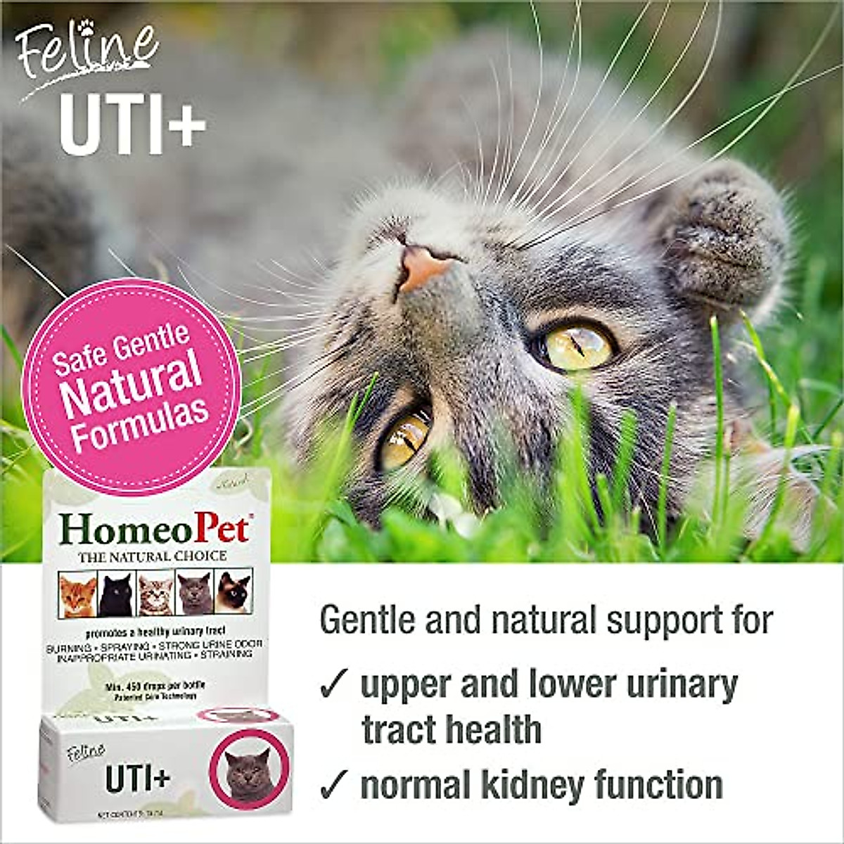 HomeoPet UTI Plus Urinary Tract Infection, Urinary Tract Support for Cats, 15 Milliliters