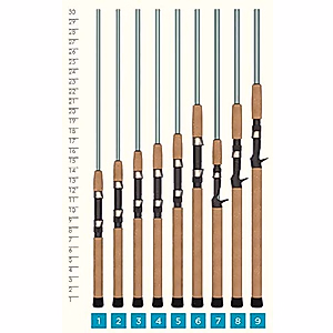St. Croix Rods Avid Series Inshore Spinning Rod, Seafoam Green Metallic, 7'0" - Feet