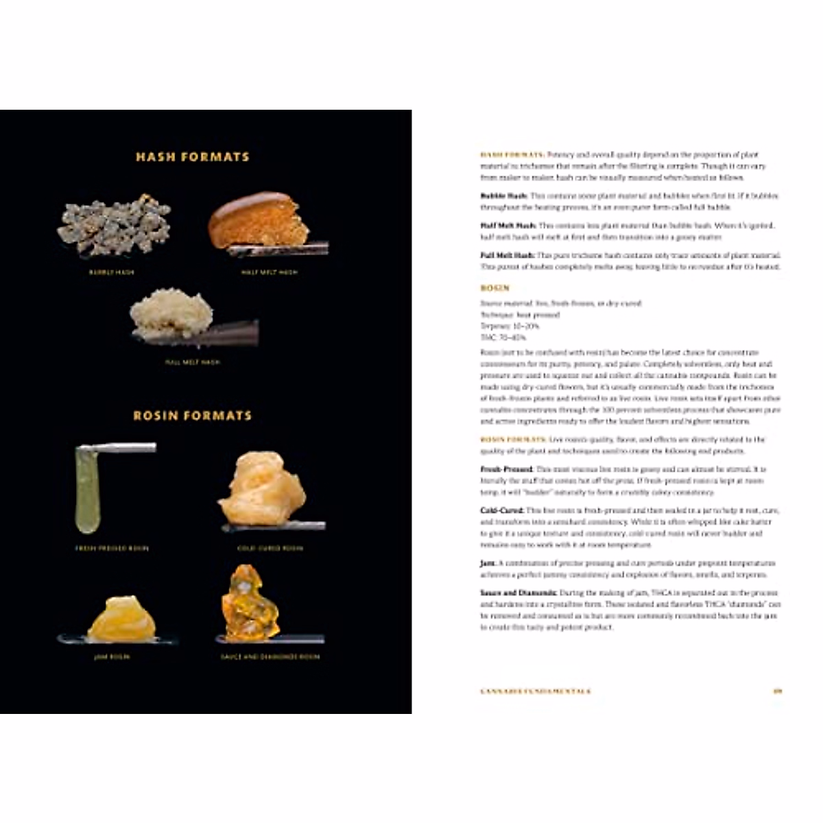 Higher: The Lore, Legends, and Legacy of Cannabis