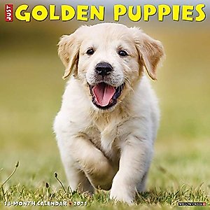 Just Golden Puppies 2021 Wall Calendar (Dog Breed Calendar)