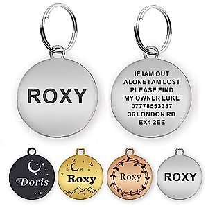 Dog Tags Engraved for Pets Personalized Dog Name Tags Dog ID Tags Small Cat Tags Large Dog Collar Tags Custom Text Stainless Steel Engraved on Both Sides(L Silver)