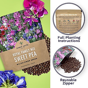 Sweet Pea Seeds Royal Mix - Bulk 1 Ounce Packet - Over 350 Seeds - Large Fragrant Lavender, Purple, Red, Pink and White Blooms