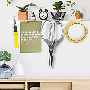 FINDMAG 12 Pack Fridge Magnets, Magnetic Push Pins, Push Pins Magnets for Whiteboard, Neodymium Magnet Pins, Magnetic Thumb Tacks, Whiteboard Magnets, Strong Magnets,Office Magnets, Magnets for Fridge