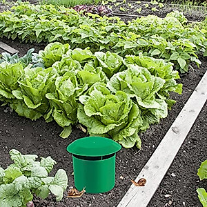 Snail Trap,Snail Cages Snail Trap with Roof - Snail Catch Box Durable and Reusable Slugs Trap Plant, Useful Garden Tools Aquarium Fish Tank Accessories