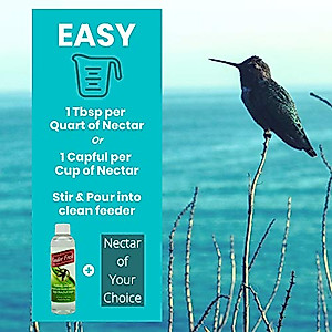 Sapphire Labs Nectar Defender - Hummingbird Nectar Extender That Prolongs The Life of Nectar for Hummingbird Feeders - It Works Exceptionally Well During Warm Weather Months - 2 Pack